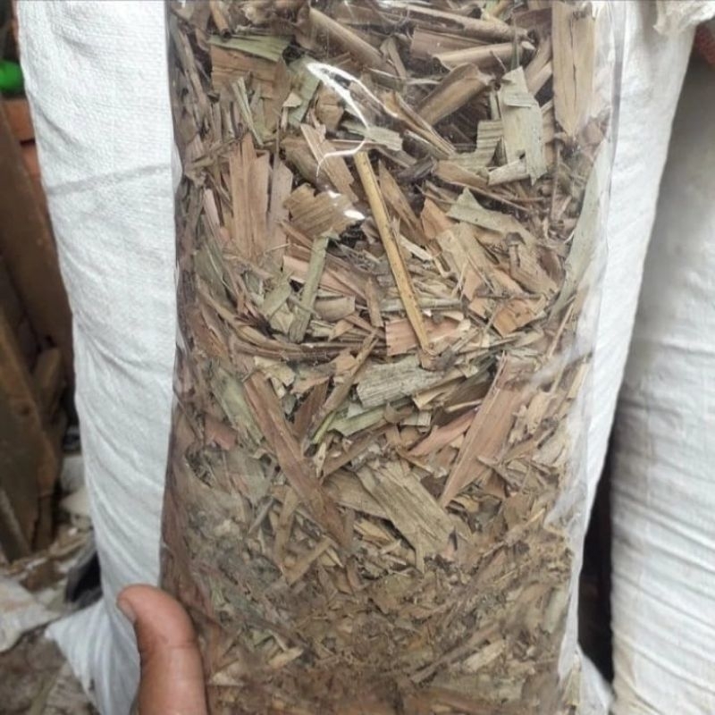 Jual Daun bambu kering Moss daun bambu media tanam | Shopee Indonesia