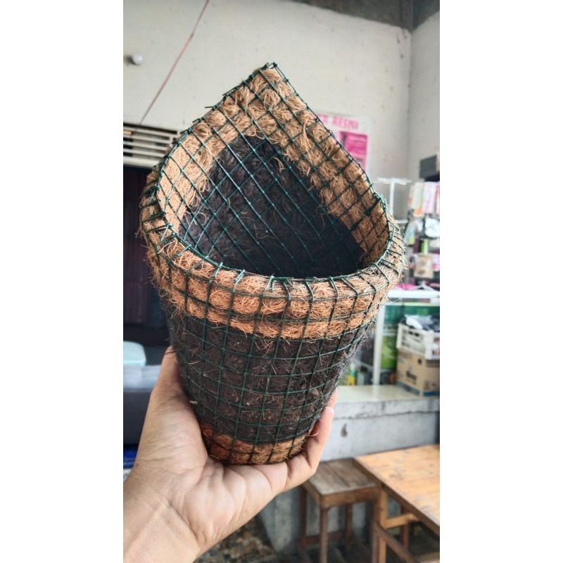 Jual pot anggrek sabut kelapa ijuk tempel dinding | Shopee Indonesia