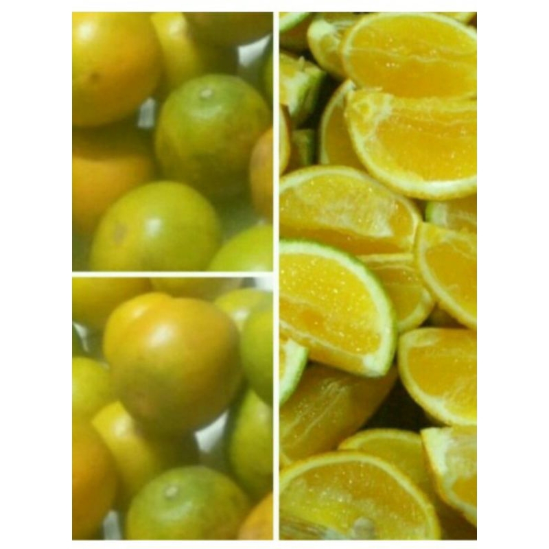 Jual Jeruk Baby Java Malang/Jeruk MPASI Berat 5Kg Lebih Hemat (Kulit ...