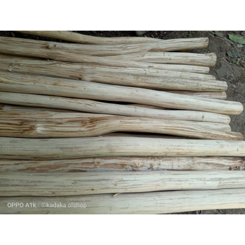 Jual KAYU KOPI 100CM DIAMETER 2CM TANGGRINGAN BURUNG PARUT | Shopee ...