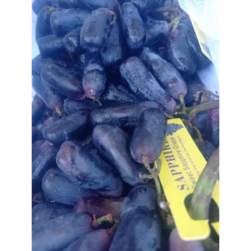 Jual Buah anggur jari hitam sweet 1kg | Shopee Indonesia