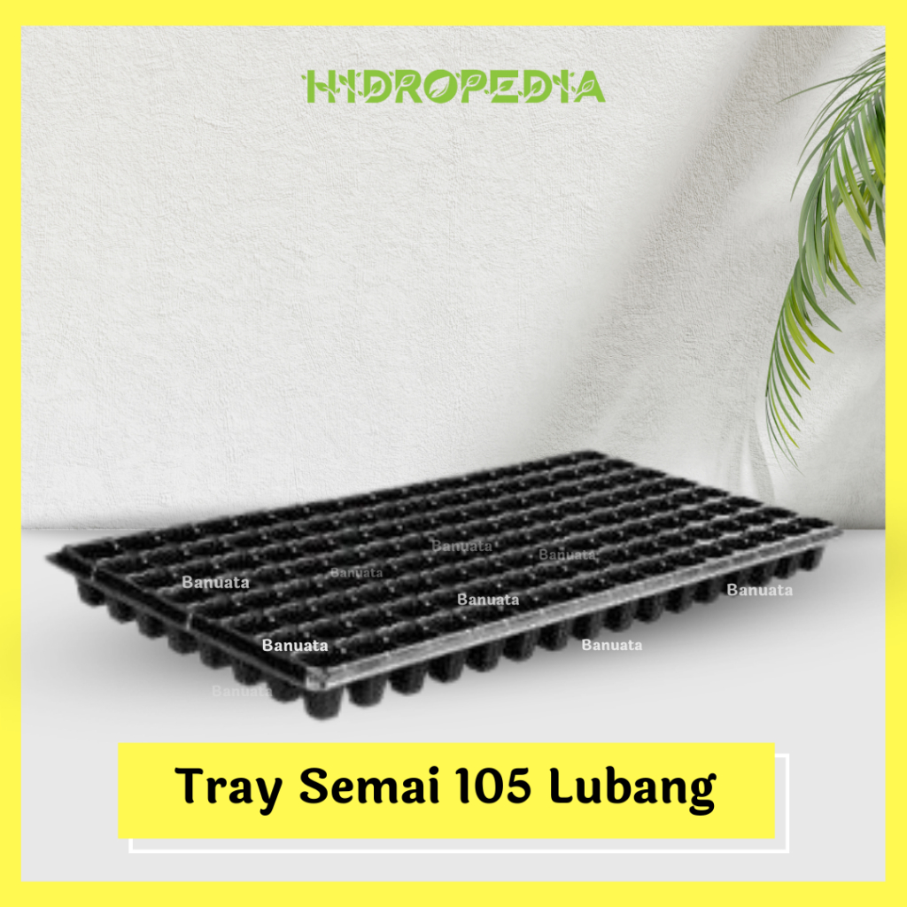 Jual Tray Semai isi 105 lubang / Pot Tray / Pot Semai / Hidroponik ...