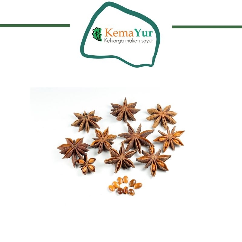 Jual BUNGA LAWANG | Shopee Indonesia