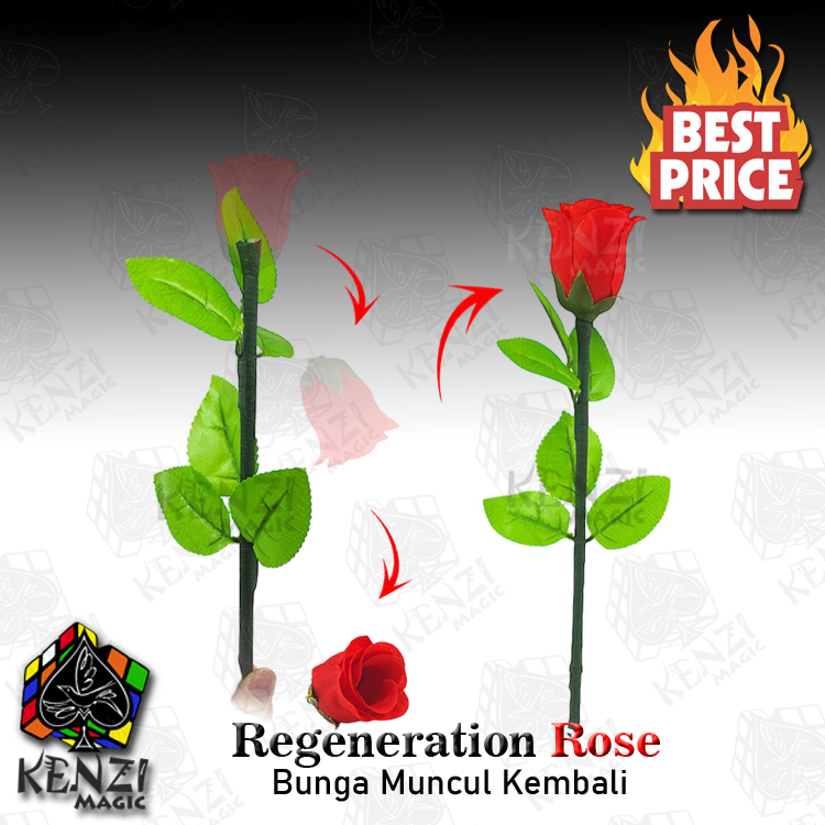 Jual Alat Sulap Regeneration Rose Bunga Tumbuh Kembali Rose Magic ...