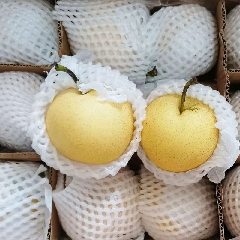 Jual Pear Century Per Kilo | Shopee Indonesia