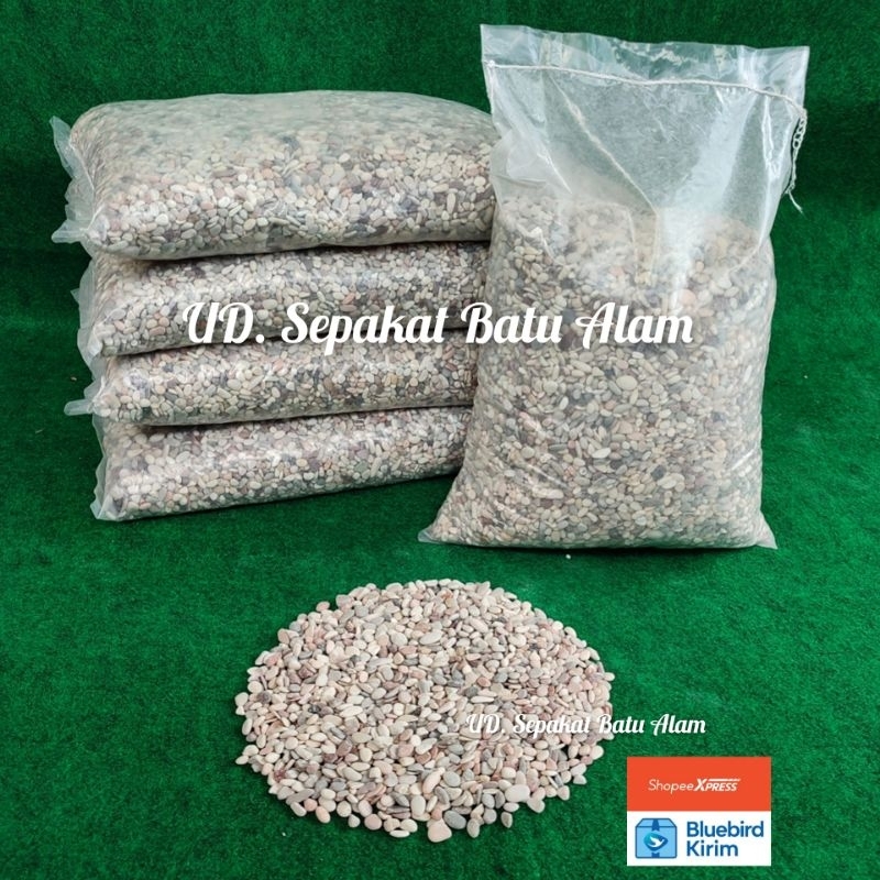 Jual Batu Taman Coral Sikat Multicolor 10 kg | Shopee Indonesia