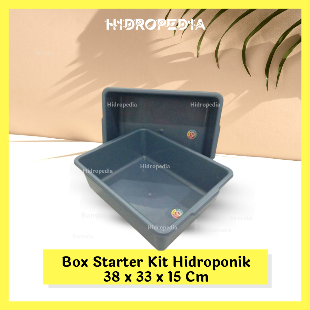 Jual Bak Box Starterkit (Paket Belajar Hidroponik) | Shopee Indonesia