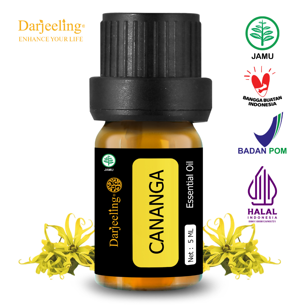 Jual Darjeeling Cananga Essential Oil / Minyak Kenanga Aromaterapi 5ml ...