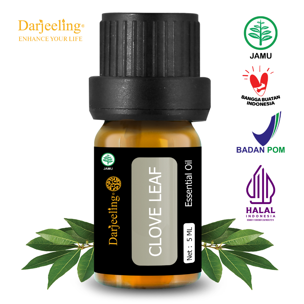 Jual 5ml Darjeeling Clove Leaf Essential Oil / Minyak Daun Cengkeh romaterapi | Shopee Indonesia