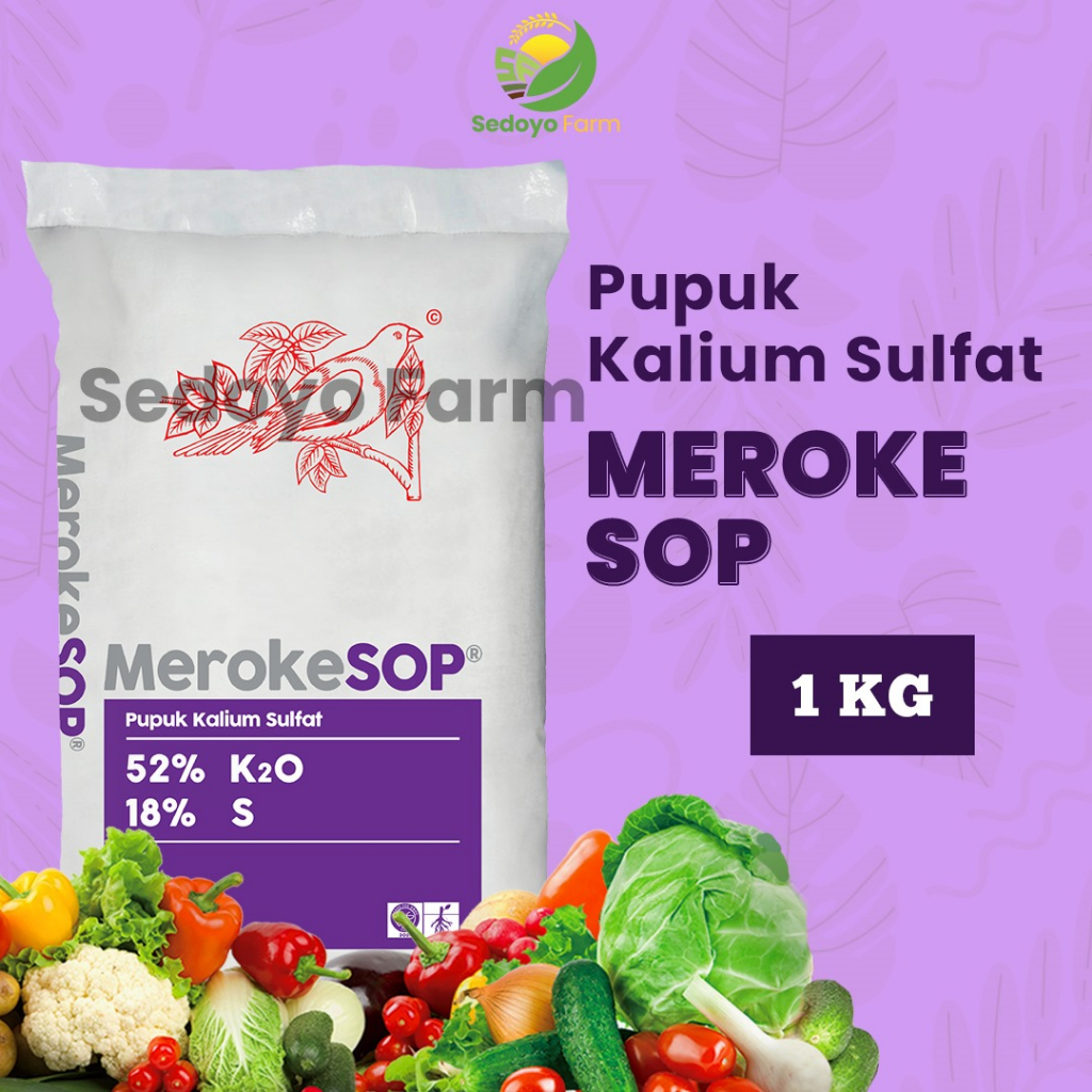 Jual Pupuk Meroke SOP 1Kg Kemasan Ori Pabrik | Shopee Indonesia