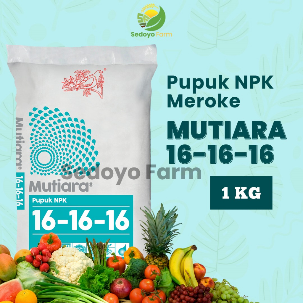 Jual Pupuk NPK Mutiara 16 16 16 MEROKE Kemasan Asli Pabrik 1KG | Shopee Indonesia