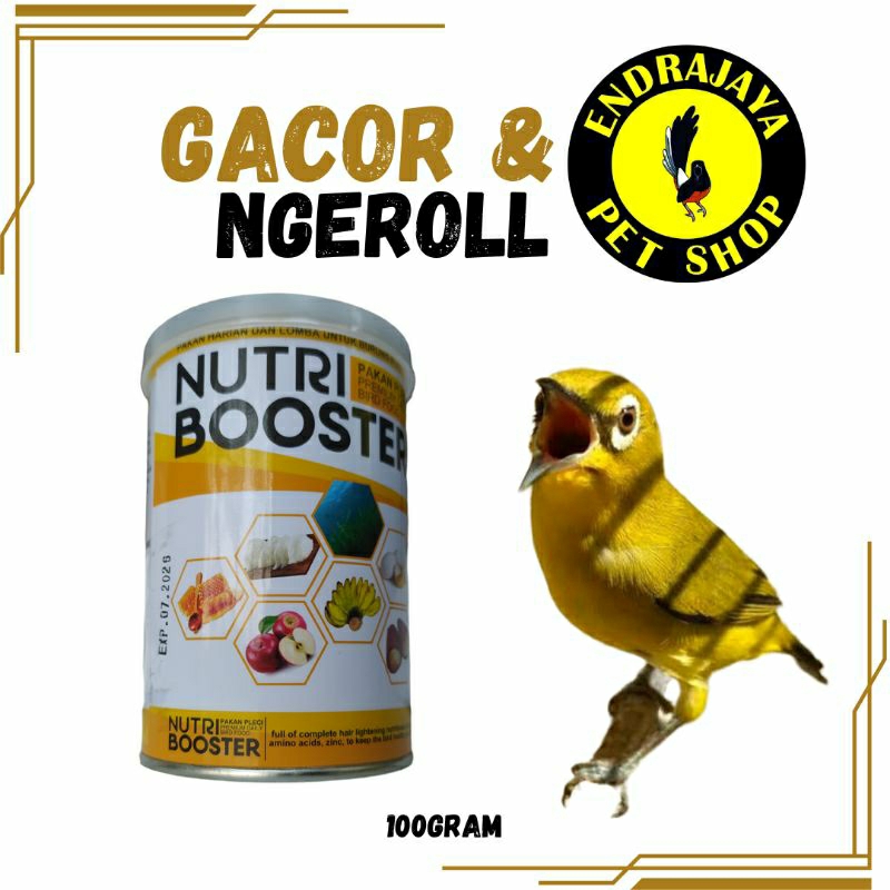 Jual NUTRIBOOSTER PLECI KEMASAN KALENG 100GRAM | Shopee Indonesia