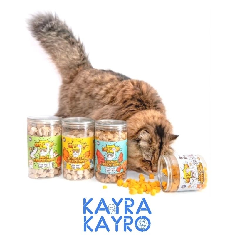 Jual Cat Pow Freeze Dried Pet Dog Cat Snack 100 gr - Treat/Camilan Hewan Anjing Kucing | Shopee ...