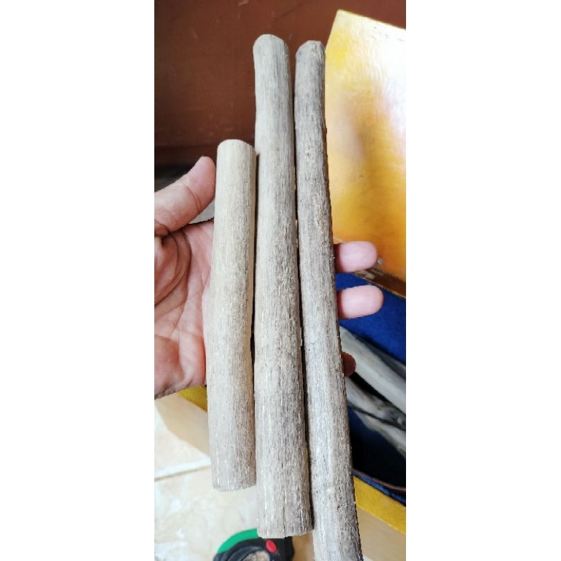 Jual TELAGASARI KALIMANTAN ORIGINAL | Shopee Indonesia