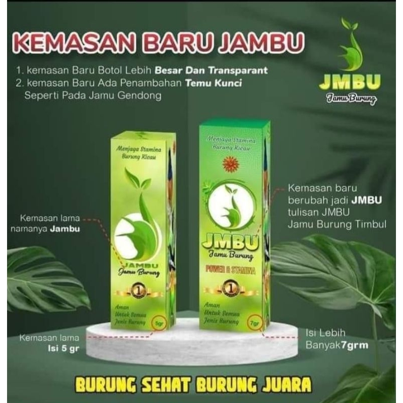 Jual jambu jamu burung original | Shopee Indonesia