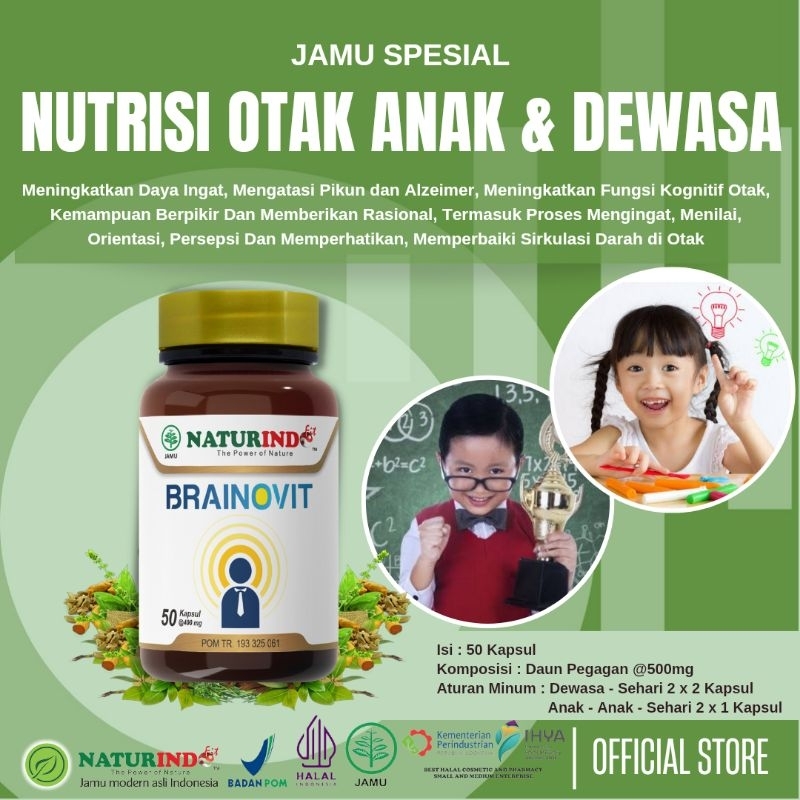 Jual Vitamin Kecerdasan Otak Daya Ingat Anak Dan Dewasa BRAINOVIT ...