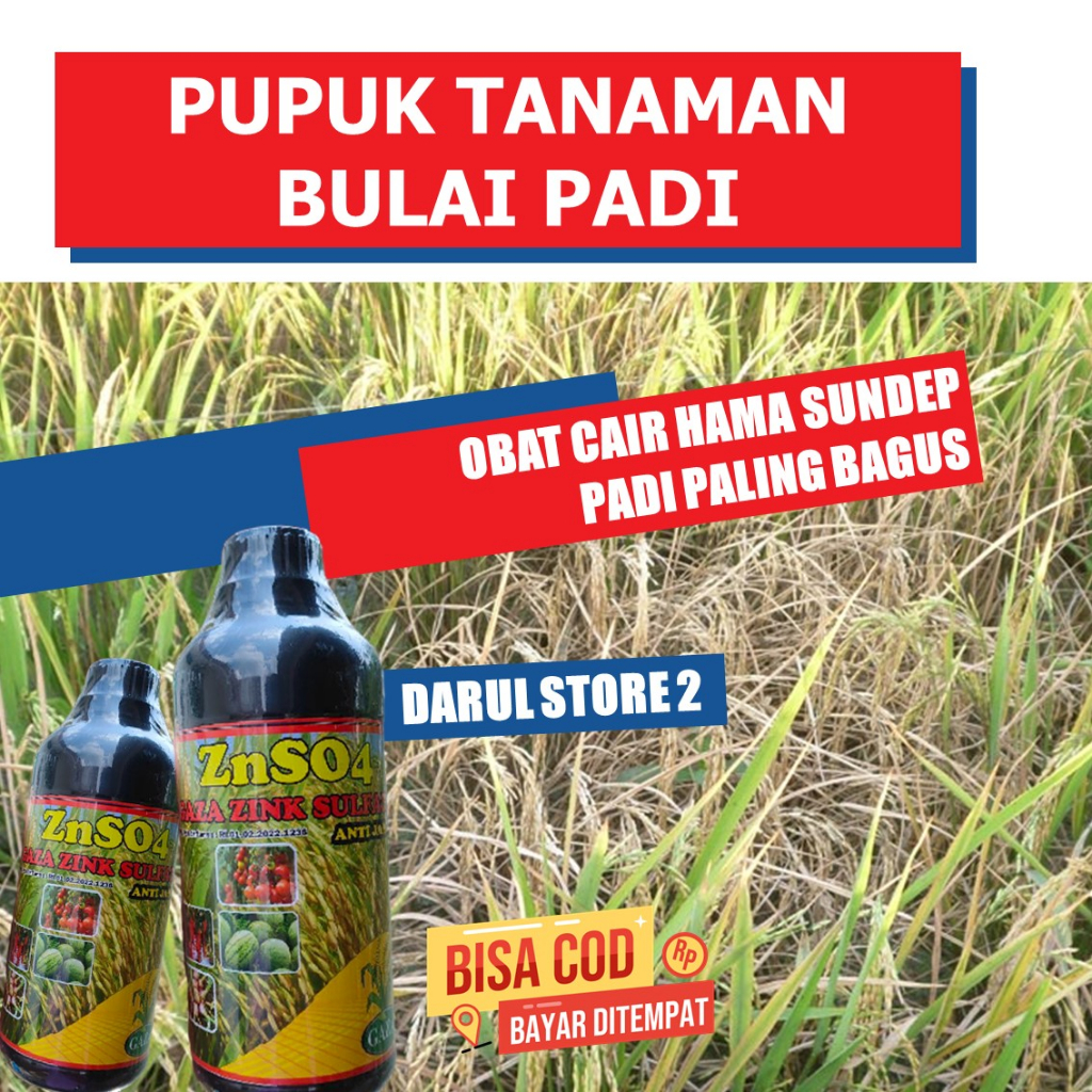 Jual REKOMENDED Pengendali Penyakit HAMA SUNDEP PADI ZNSO 500 ml ...