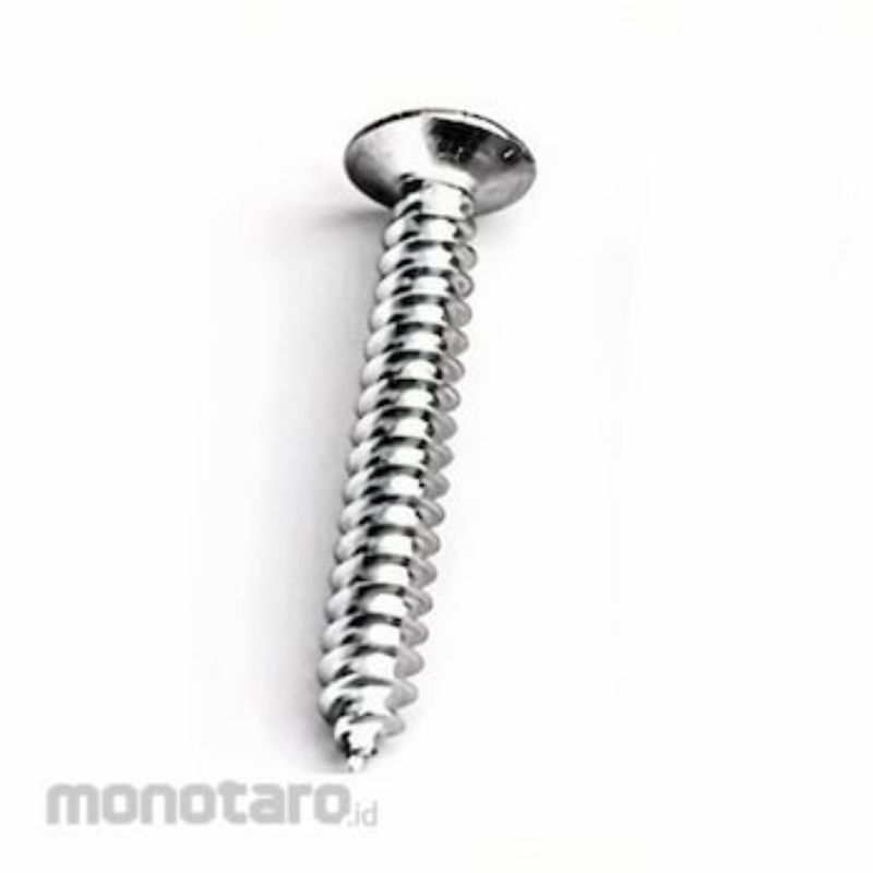 Jual Skrup 5 silver uk 6x1 sekrup kayu stainless | Shopee Indonesia