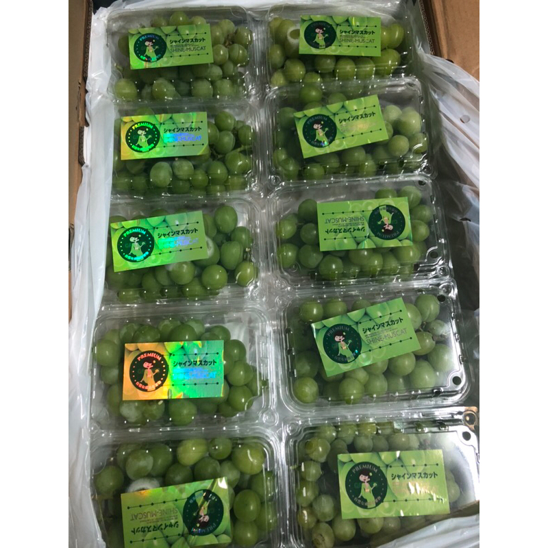 Jual Anggur Shine Muscat /pack berat 500 gram | Shopee Indonesia