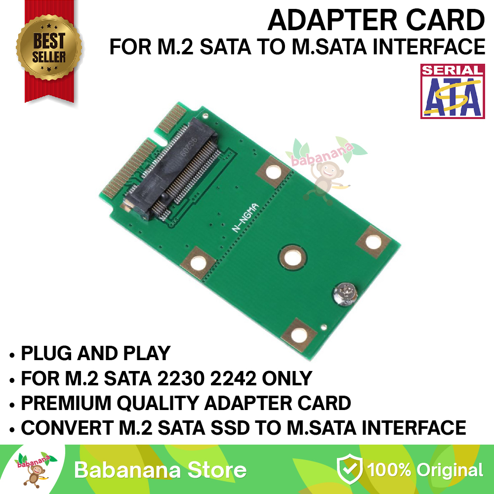 Jual M.2 SATA to M.SATA Converter Adapter SSD HDD MSATA HUB CARD NGFF ...