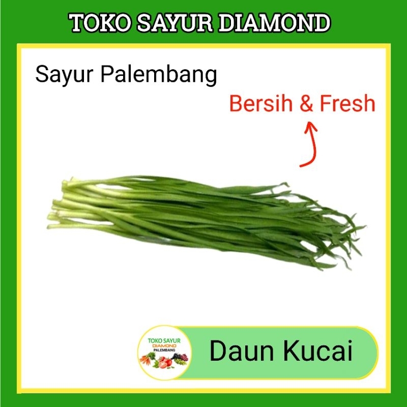 Jual Daun Kucai Kucay Sayur Sayuran Segar Online Palembang | Shopee ...