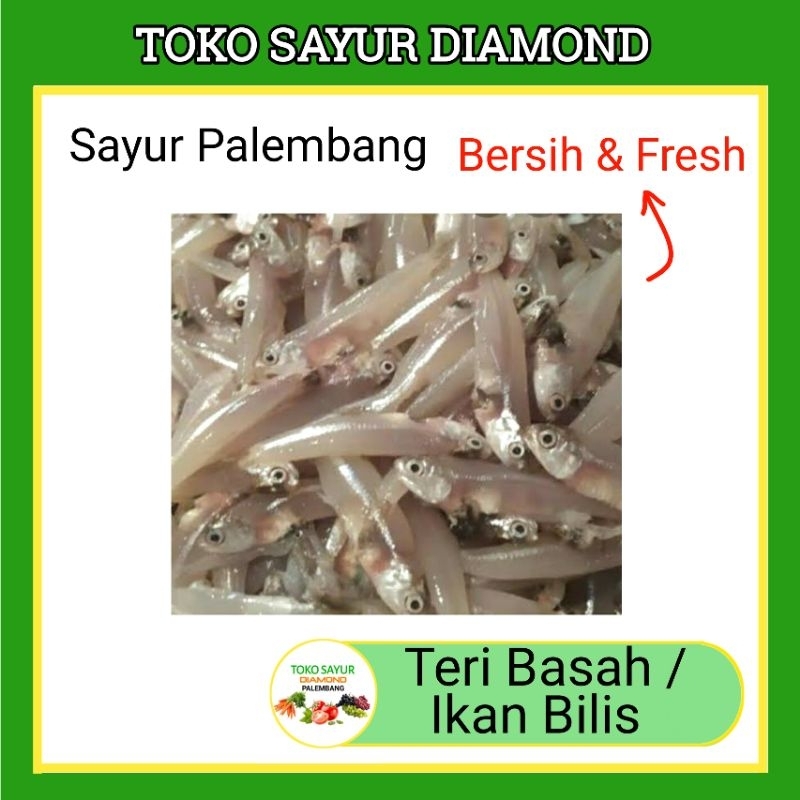 Jual Teri Basah / Ikan Bilis Basah - Palembang | Shopee Indonesia