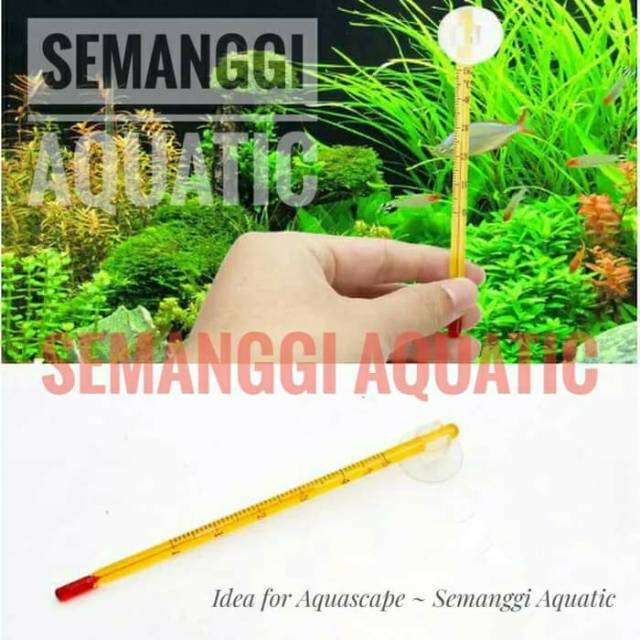 Jual Termemoter Aquascape / Termometer Akuarium / Termometer Celup ...
