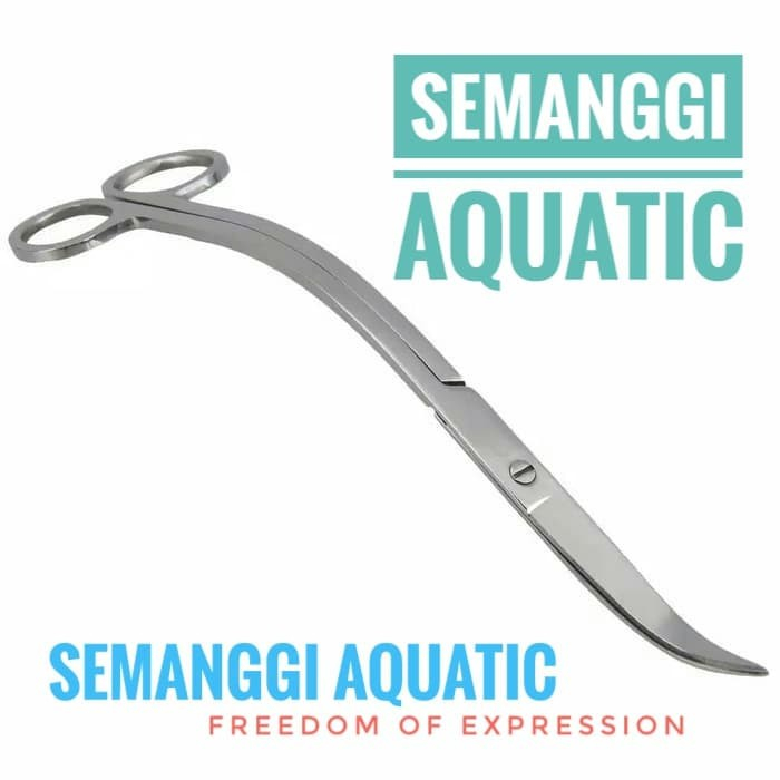 Jual Gunting Bengkok Aquascape / Gunting Trimming Akuarium Stainless ...