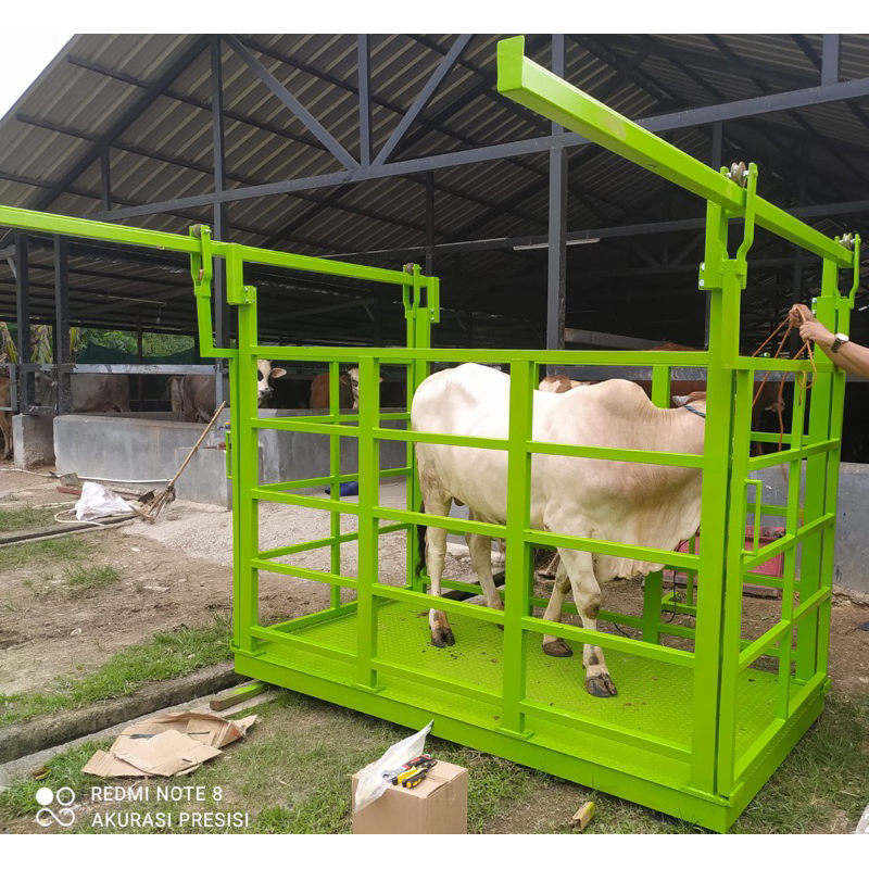 Jual Timbangan Sapi Krangkeng | Shopee Indonesia