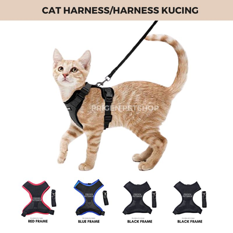 Jual HARNESS KUCING / CAT HARNESS / TALI TUNTUN KUCING / BAJU KUCING ...