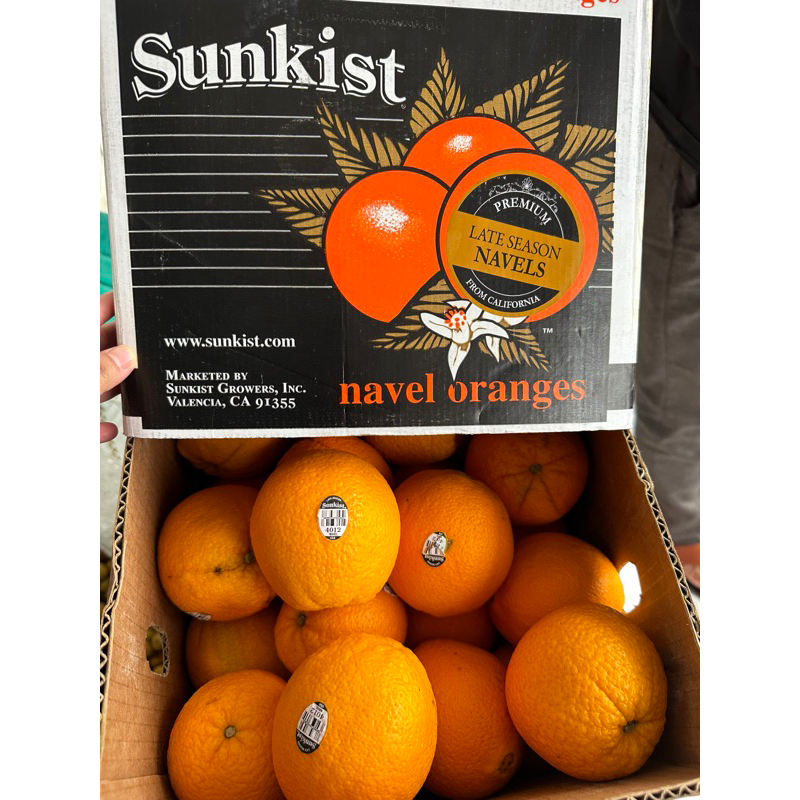 Jual jeruk sunkist isi 3 | Shopee Indonesia