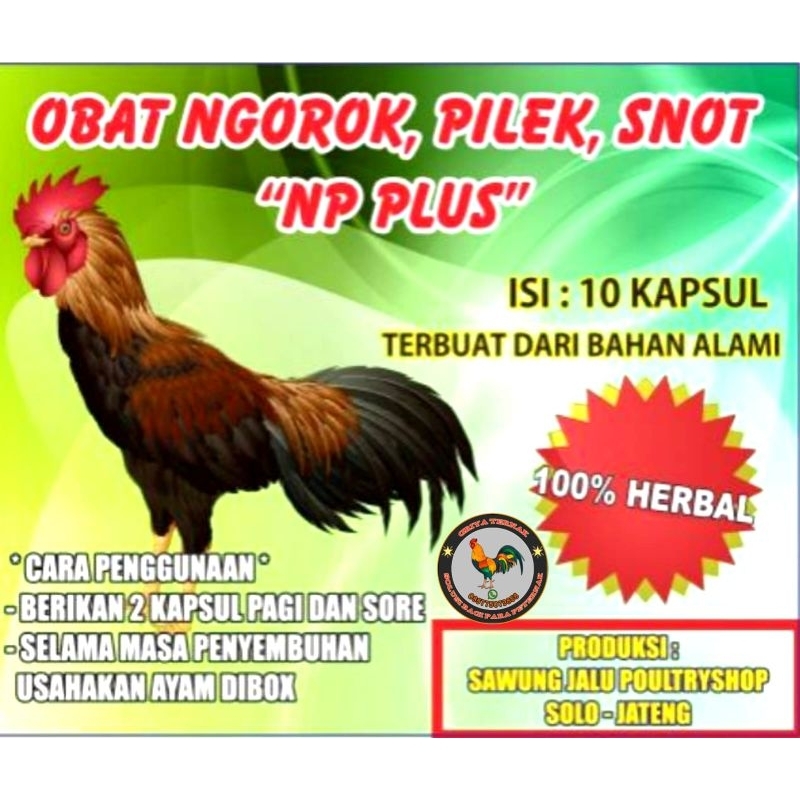 Jual NP PLUS Mengatasi ayam sakit ngorok ,pilek dan snot | Shopee Indonesia