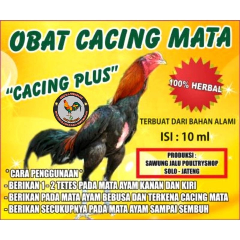 Jual OBAT CACING MATA CACING PLUS Mengatasi gangguan cacing pada mata ...