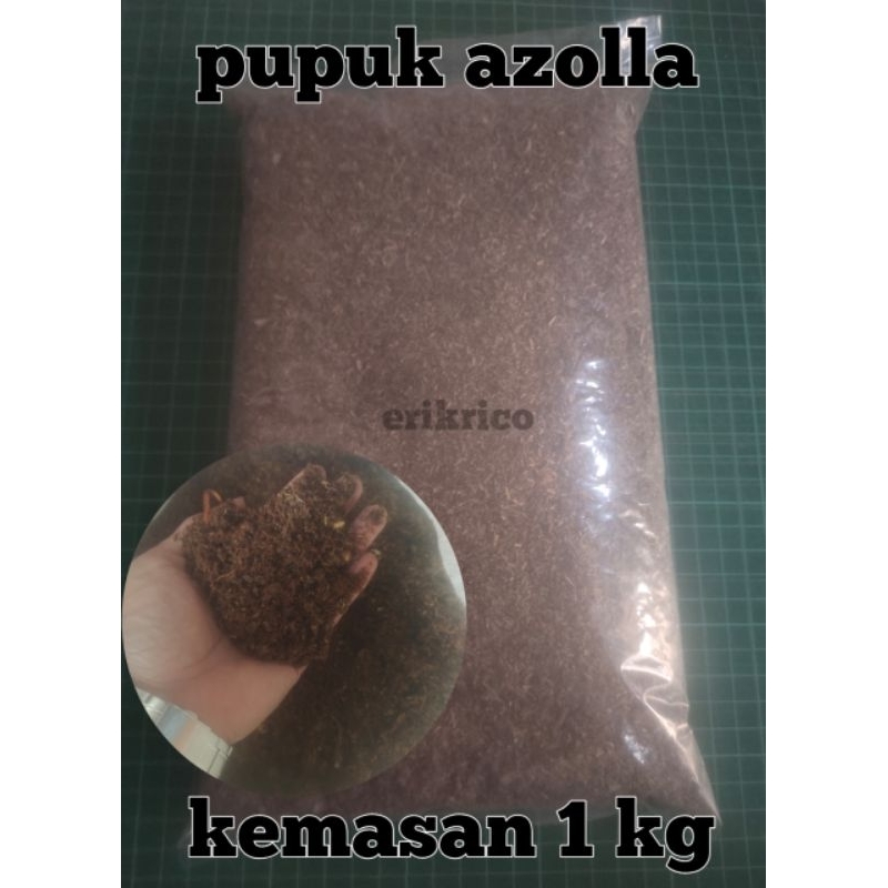 Jual pupuk magot || pupuk buat azolla kemasan 1 kg | Shopee Indonesia