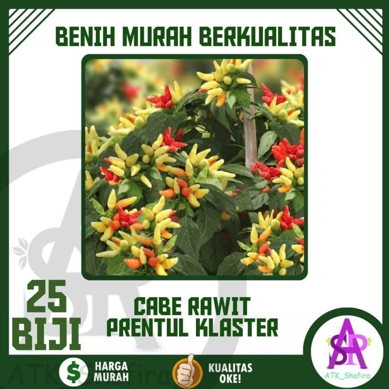 Jual TRIFARM Bibit Beni Cabai Cabe Rawit Klaster Prentul 25 Biji ...