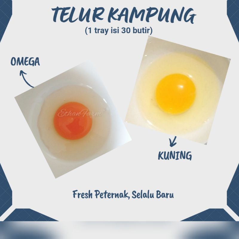 Jual (per 10 butir) Telur Kampung Omega (KURIR INSTAN) | Shopee Indonesia