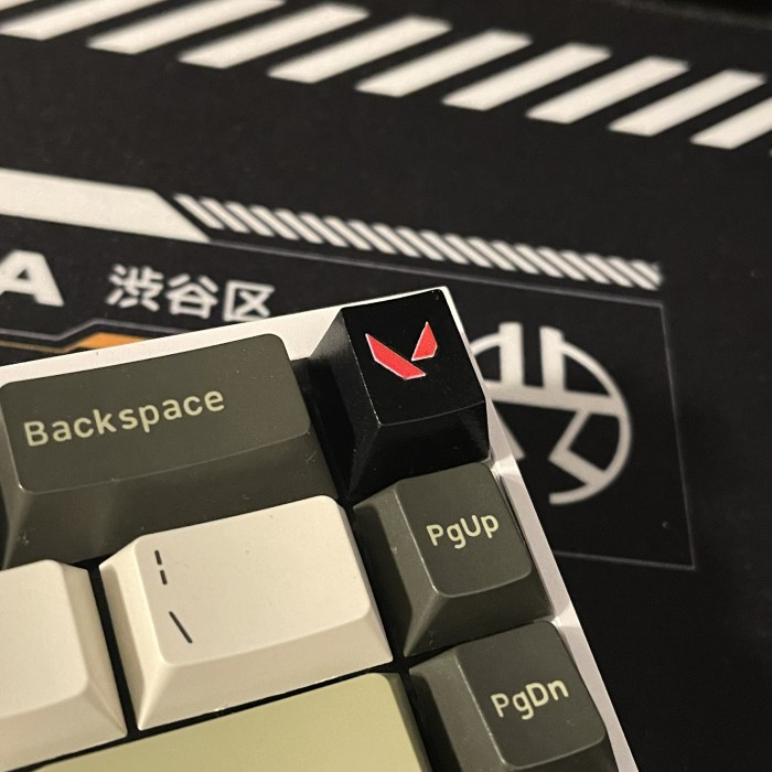 Jual Valorant keycap icon artisan keycaps valo vals hub gamer | Shopee ...