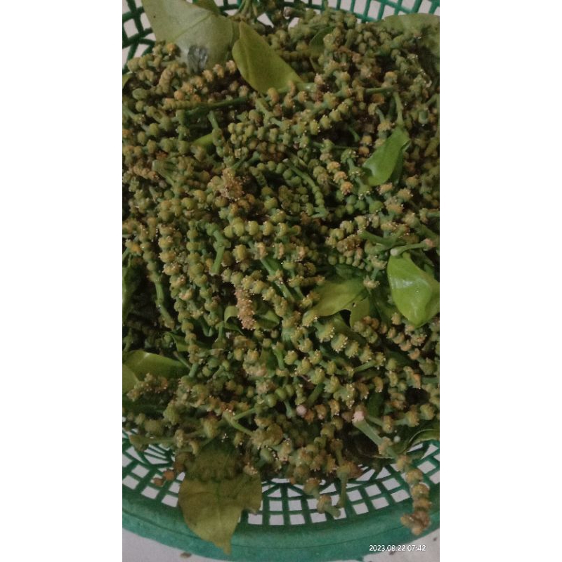 Jual Uceng (Bunga Melinjo) | Shopee Indonesia