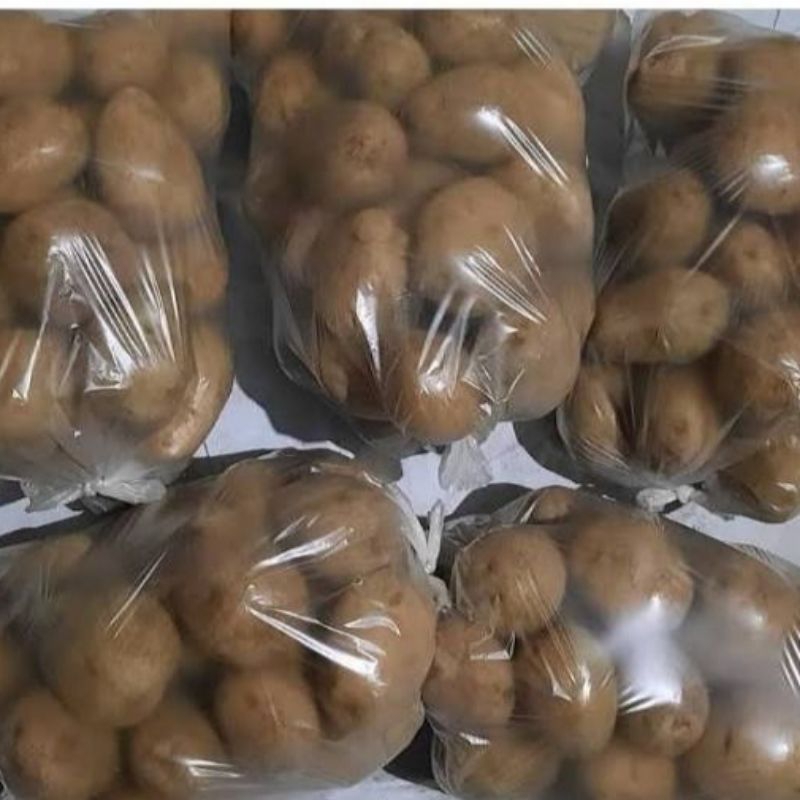Jual kentang Dieng kuning 1 kantong berat 10kg isi kentang 5-7 pcs / kg ...