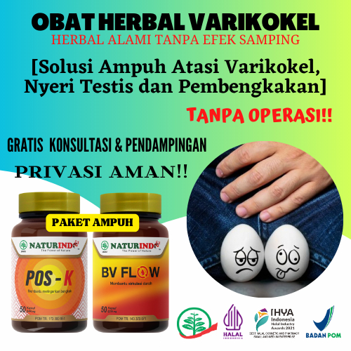 Jual Obat Herbal Varikokel Varises Hernia Turun Berok Peranakan ...