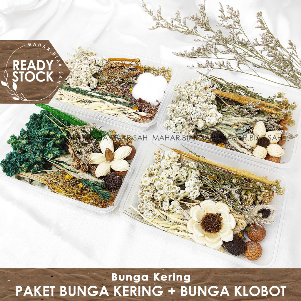 Jual Rs Paket Mix Bunga Kering Bunga Klobot Bunga Kering Dekorasi