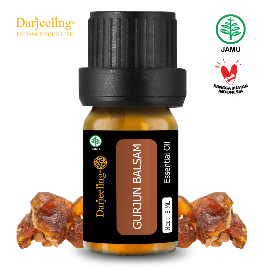 Jual Darjeeling Gurjun Balsam Essential Oil / Minyak Gurjun Aromaterapi ...