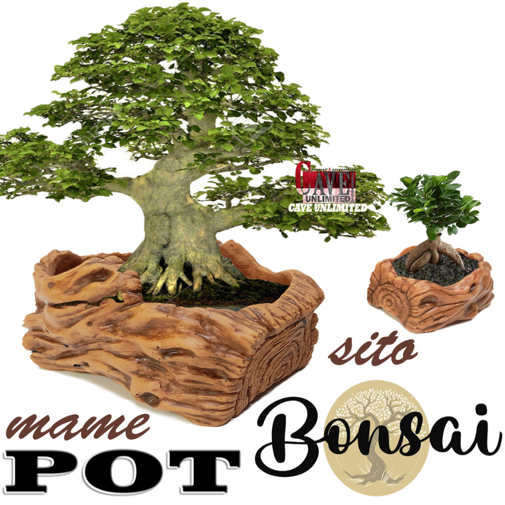 Jual PT001 POT POHON BONSAI TANAMAN HIAS MAME SITO POHON KIMENG SANCANG ...