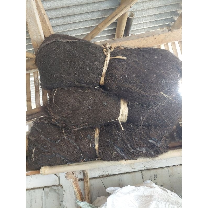 Jual Ijuk Injuk Aren Resapan Air Media Tanam 1kg Kering Dan Bersih ...