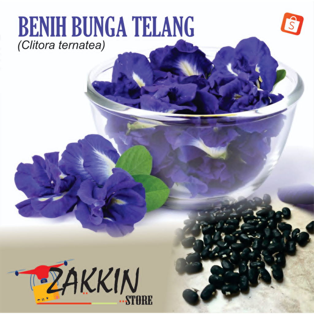 Jual Biji Bunga Telang (10 Biji) | Shopee Indonesia