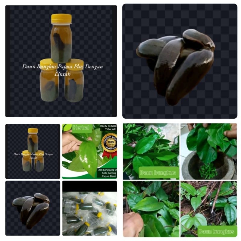 Jual Daun Bungkus Papua Asli 100% Herbal Organik Garansi Uang Kembali ...