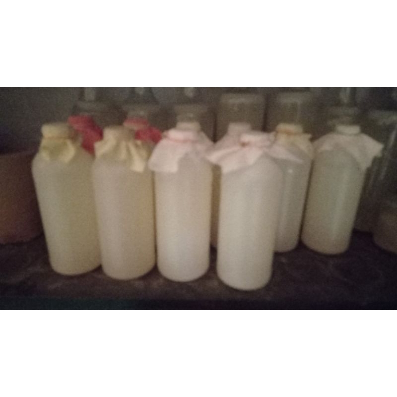 Jual bibit nata Decoco/starter nata de pina / nanas Acetobacter xylinum ...