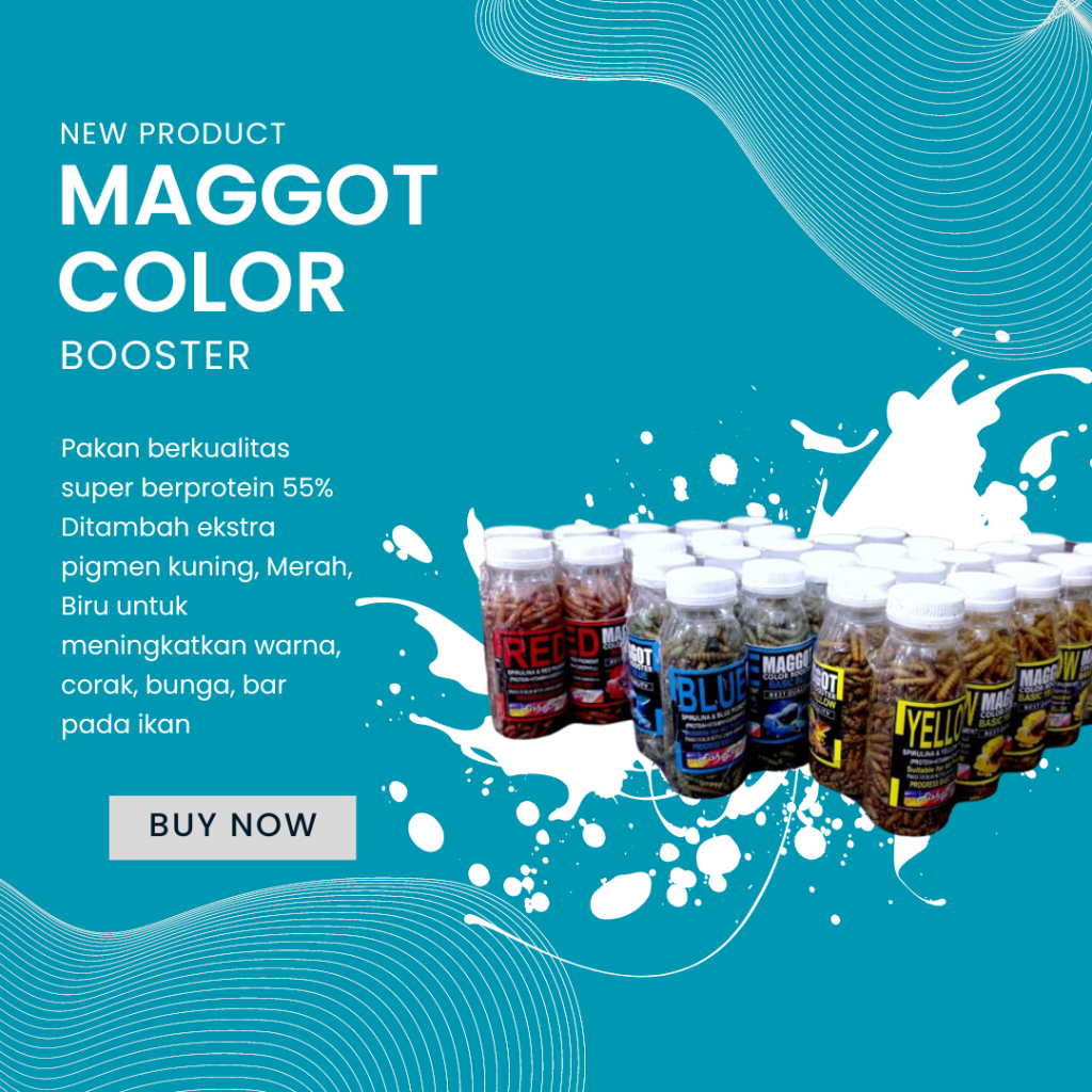 Jual PAKAN IKAN MAGGOT COLOR BOOSTER | Shopee Indonesia