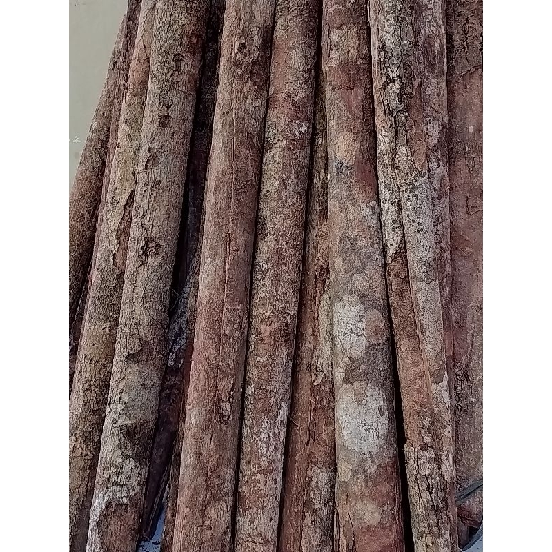Jual Kulit Kayu Raru 1kg | Shopee Indonesia