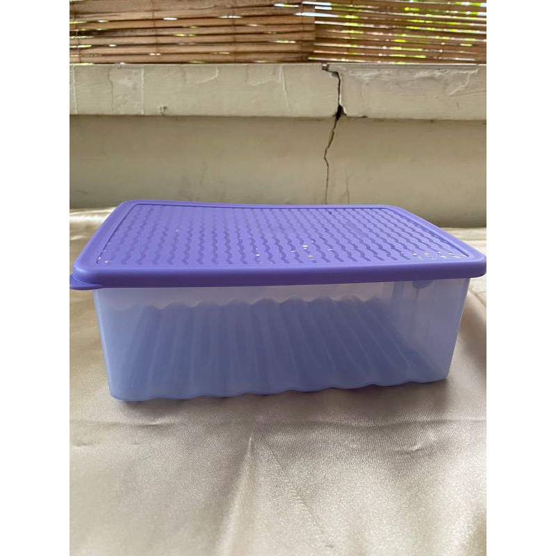Jual Fridgesmart Medium Tupperware (1) | Shopee Indonesia